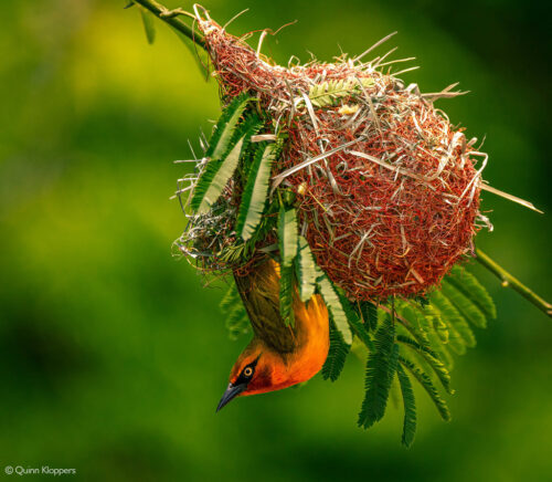 Photographer of the Year 2023 Weekly Selection: Week 12 - Gallery 2 ...