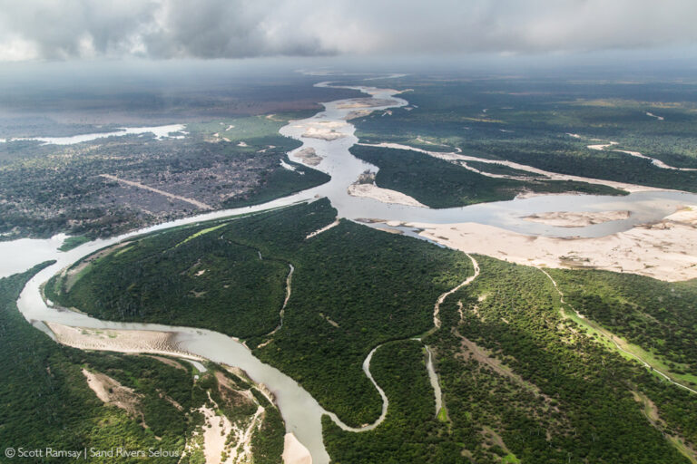 Nyerere National Park - Selous rebranded - Africa Geographic