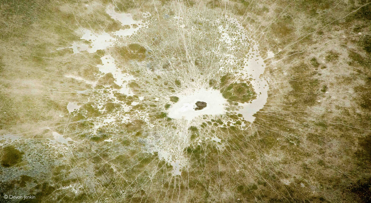 Botswana's salt pans - Africa Geographic