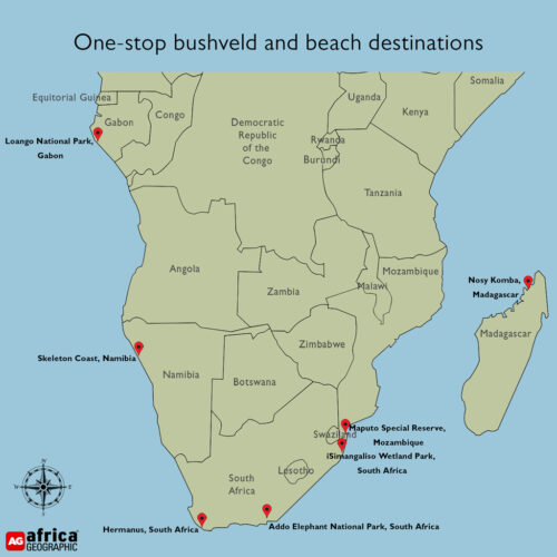 One-stop bush and beach safari - Africa Geographic