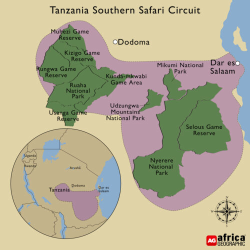Come on a Tanzania safari with us
