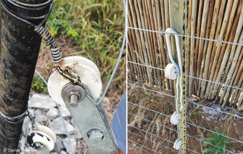 “Shock” value – the animal toll of electric fences - Africa Geographic