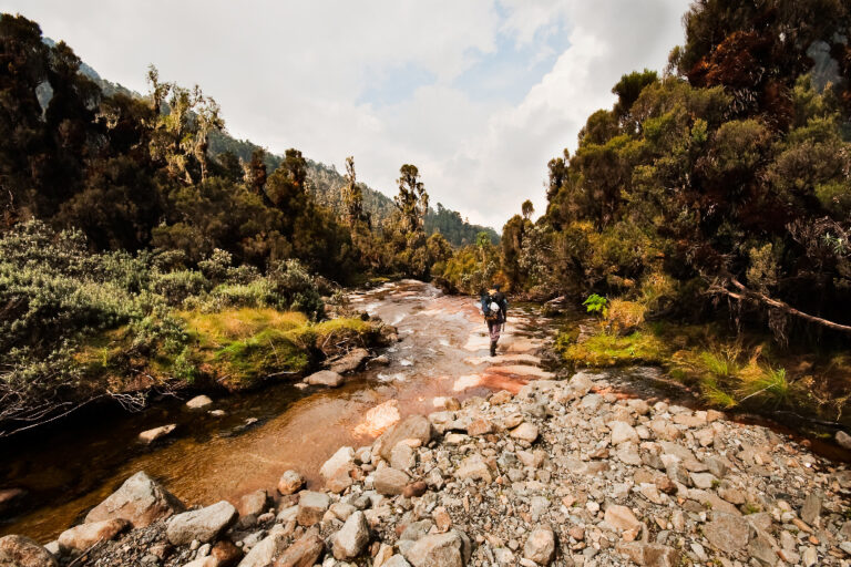 Rwenzori Mountains National Park - Africa Geographic