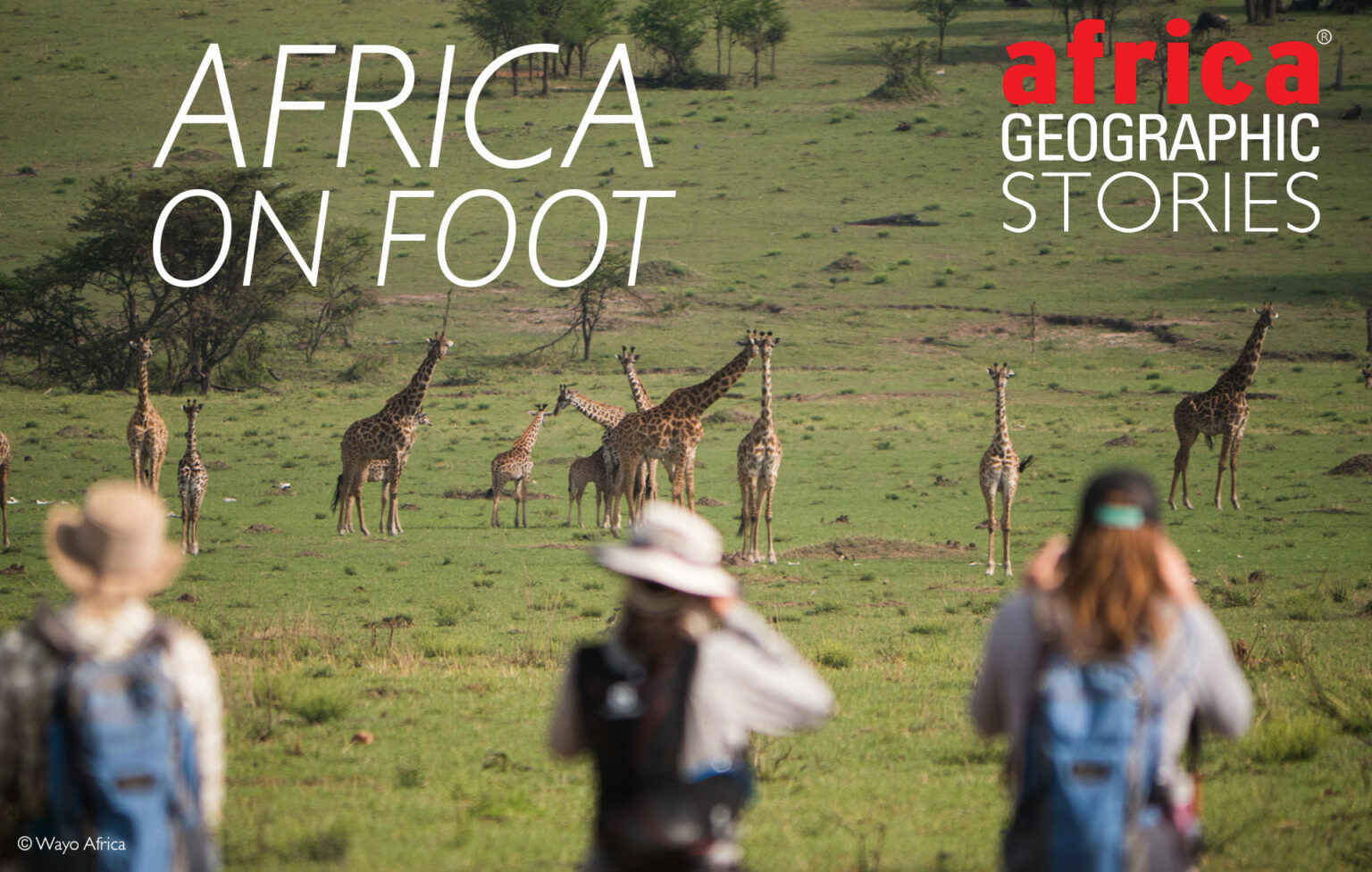 Africa on foot - 11 top walking safaris - Africa Geographic