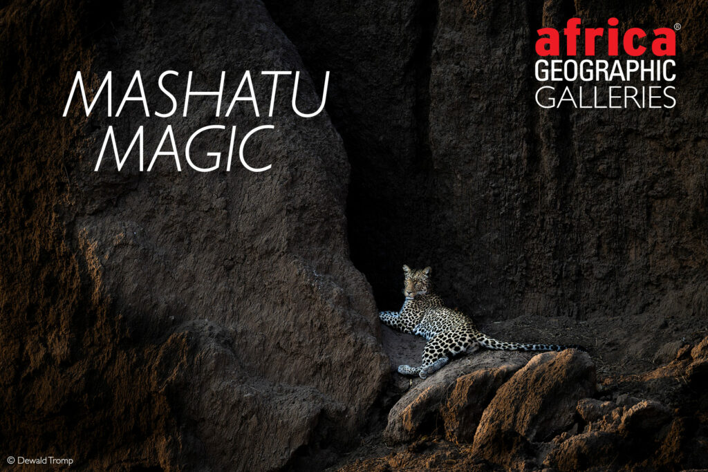 Mashatu Magic - Africa Geographic