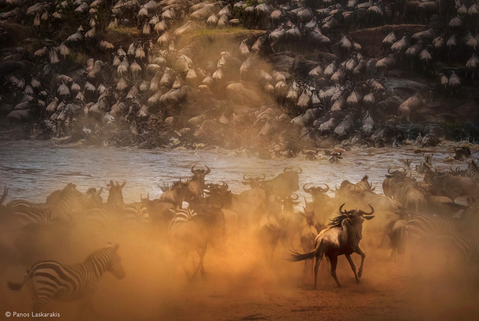Experience the Great Wildebeest Migration