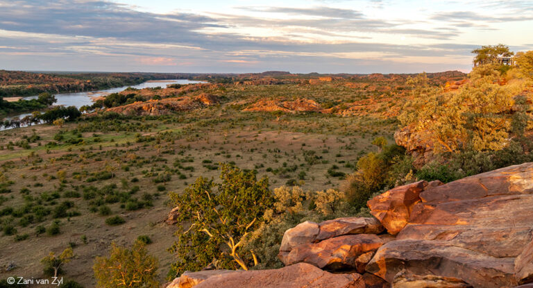 Mapungubwe National Park - Africa Geographic