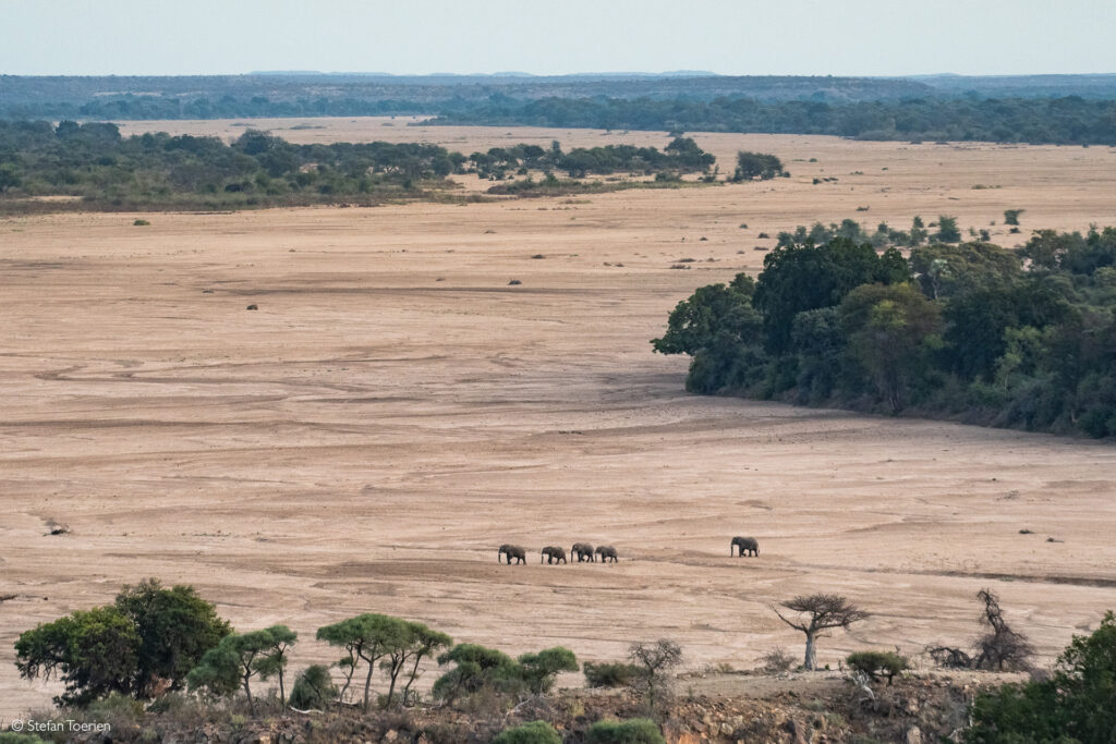 Mapungubwe National Park - Africa Geographic