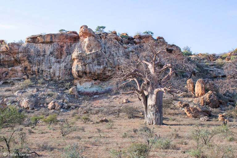 Mapungubwe National Park - Africa Geographic