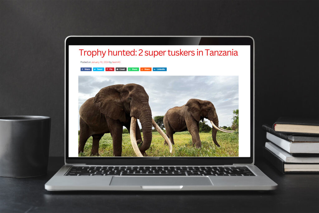 Hunting Archives - Africa Geographic