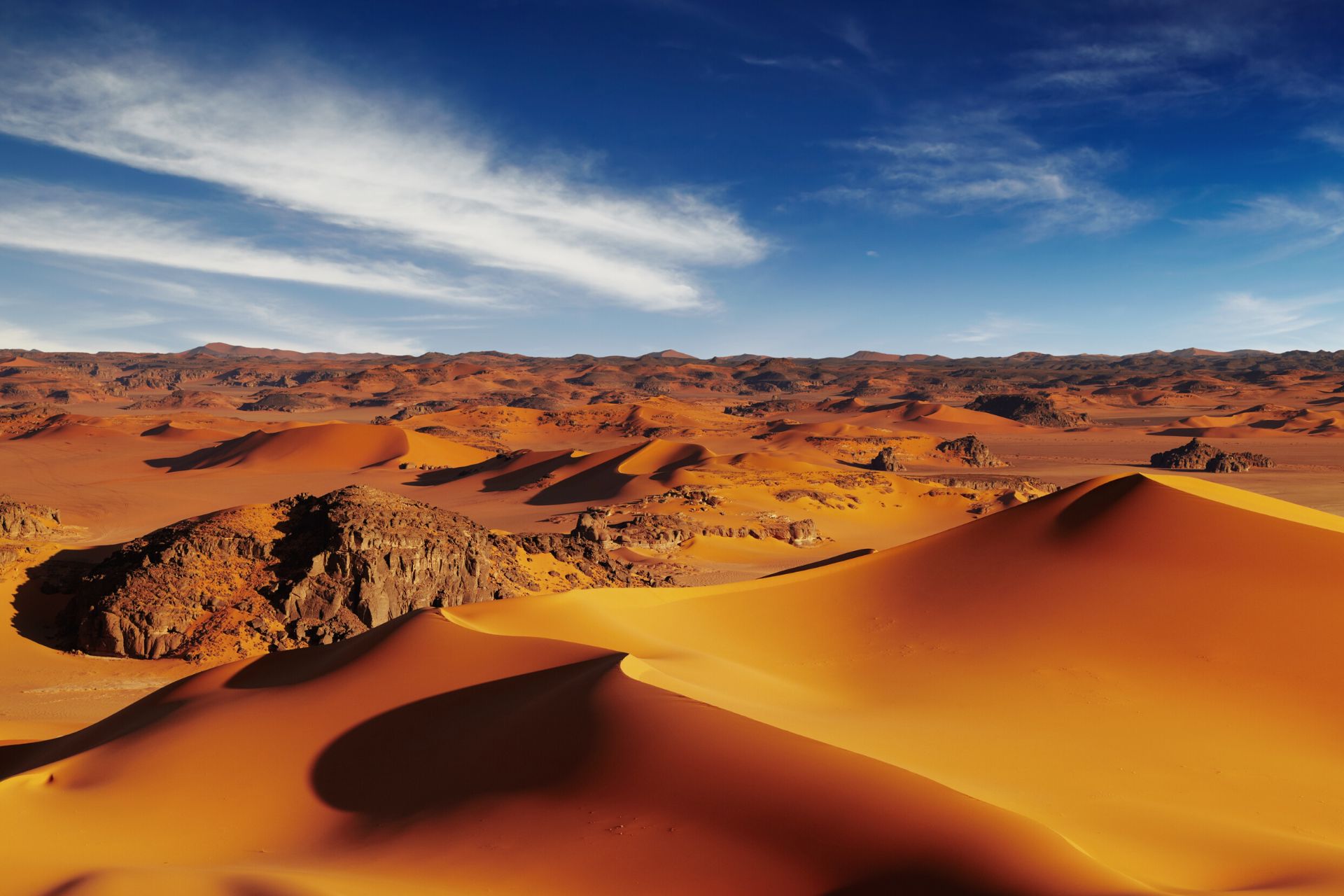 How a wobbly earth and green Sahara led to the spread of humans ...