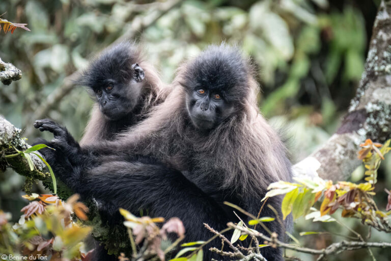 Photographer of the Year 2024 Weekly Selection: Week 2 - Africa Geographic