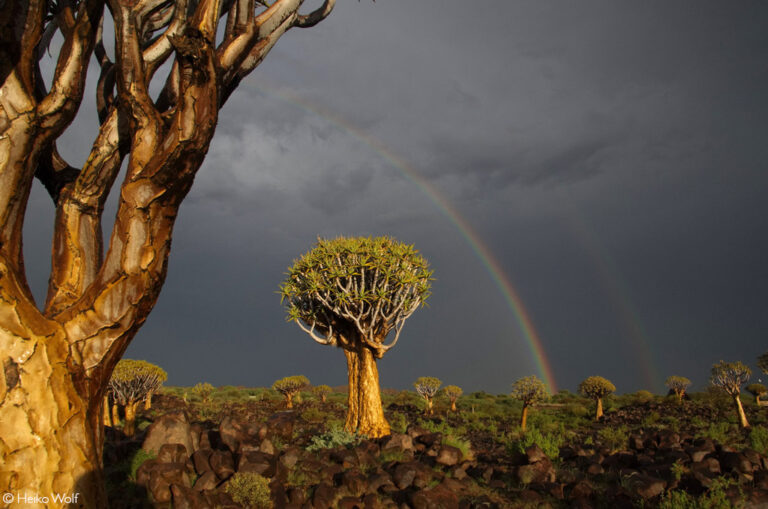 Photographer of the Year 2024 Weekly Selection: Week 1 - Africa Geographic
