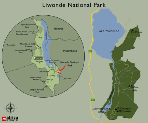 Picture-perfect Liwonde - Africa Geographic