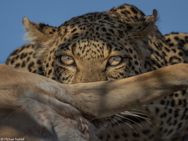 Photographer of the Year 2024 Weekly Selection: Week 2 - Africa Geographic