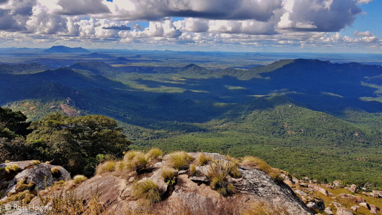 Picture-perfect Liwonde - Africa Geographic