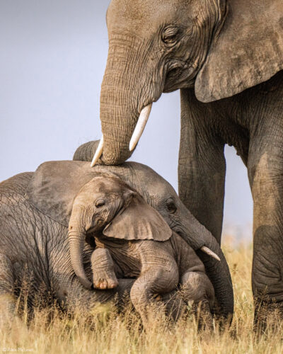 Photographer of the Year 2024 Weekly Selection: Week 7 - Africa Geographic