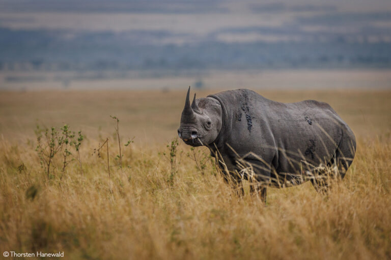 Photographer of the Year 2024 Weekly Selection: Week 7 - Africa Geographic