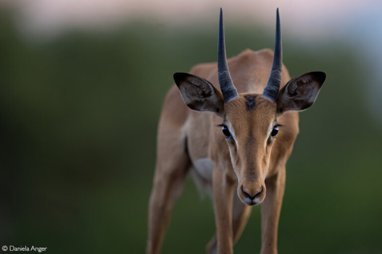 Photographer of the Year 2024 Weekly Selection: Week 9 - Gallery 1 ...