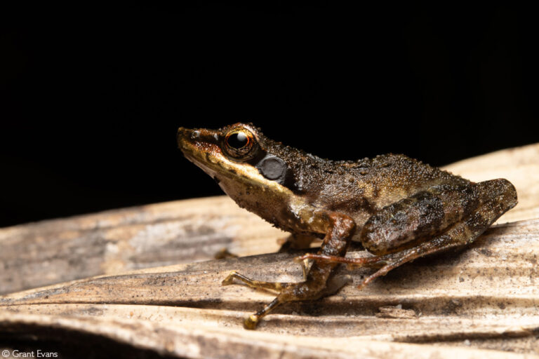 Photographer of the Year 2024 Weekly Selection: Week 11 - Africa Geographic