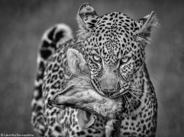 Photographer of the Year 2024 Weekly Selection: Week 11 - Africa Geographic