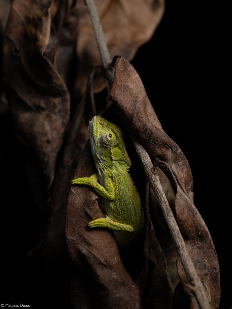 Photographer of the Year 2024 Weekly Selection: Week 11 - Africa Geographic