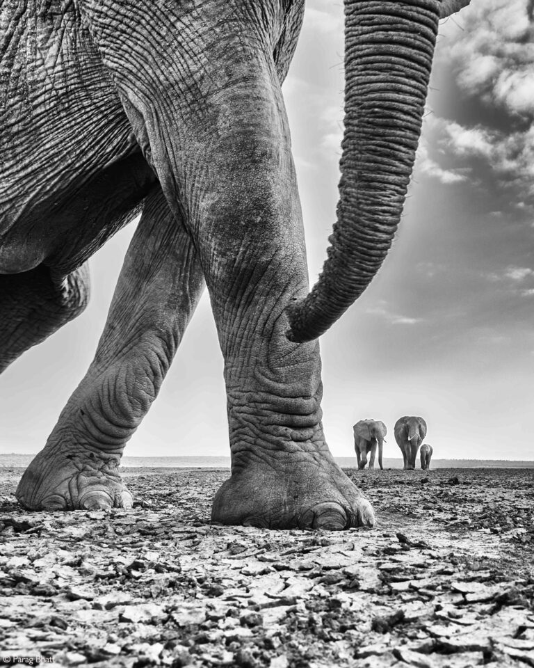 Photographer of the Year 2024 Weekly Selection: Week 9 - Gallery 1 ...