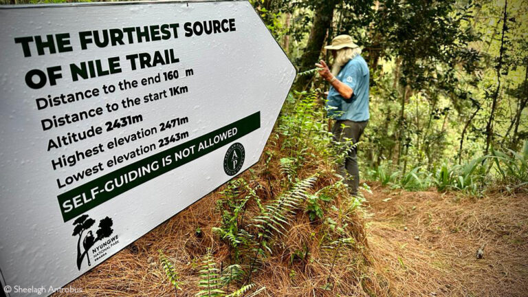 Nyungwe: to the source of the Nile - Africa Geographic
