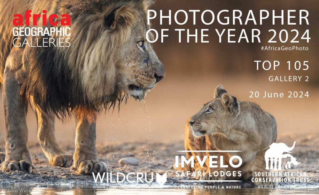 Photographer of the Year 2024 Top 105 - Gallery 2 - Africa Geographic
