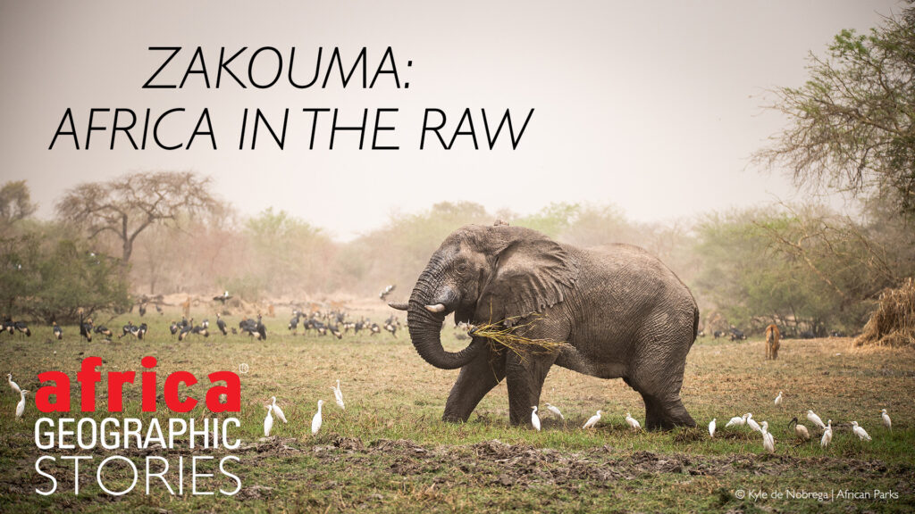 Zakouma National Park Archives - Africa Geographic