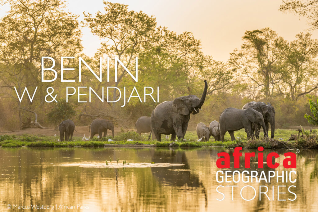 African Parks Archives - Africa Geographic