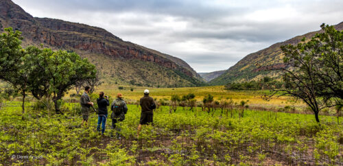 Marakele National Park - Africa Geographic