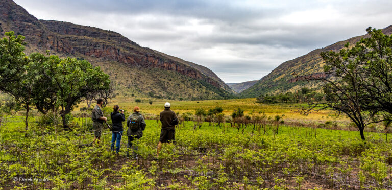 Marakele National Park - Africa Geographic