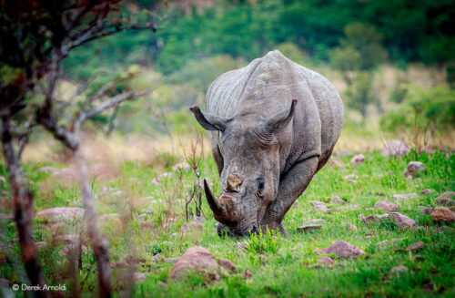 Marakele National Park - Africa Geographic