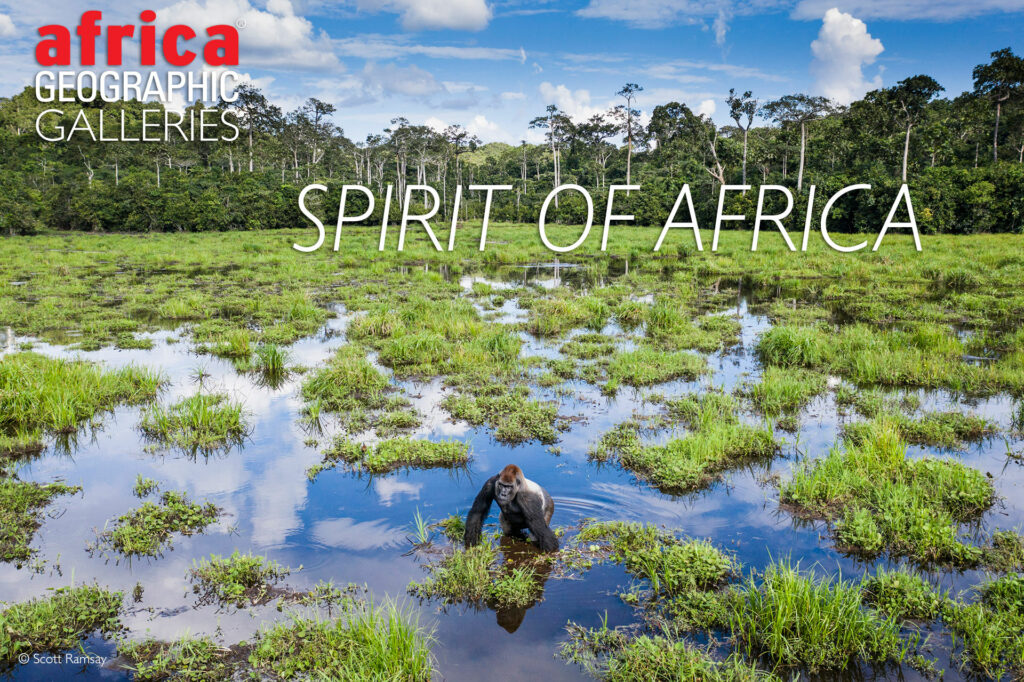 Capturing the spirit of Africa - Africa Geographic
