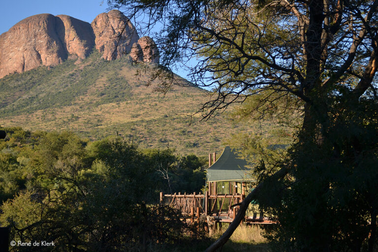 Marakele National Park - Africa Geographic