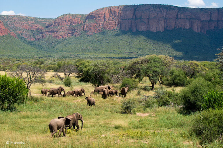 Marakele National Park - Africa Geographic