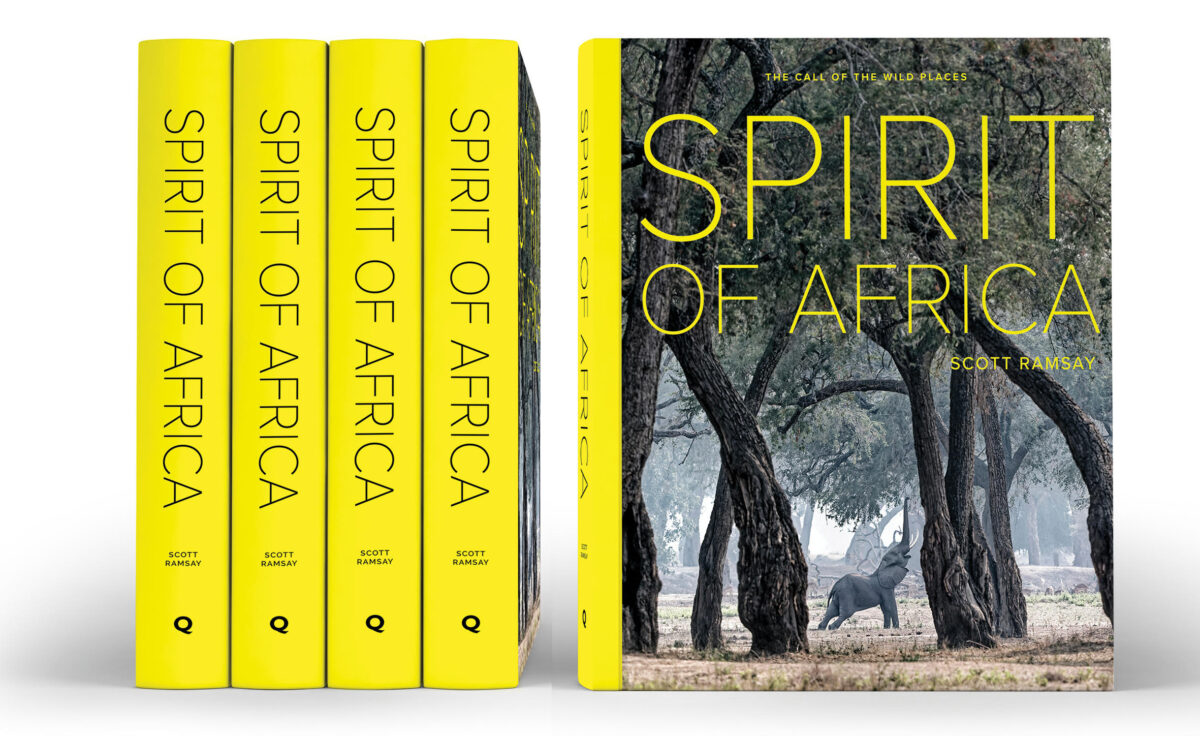 Capturing the spirit of Africa - Africa Geographic