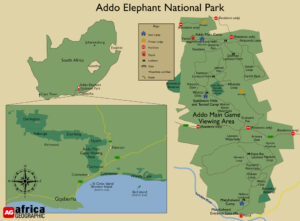 Addo Elephant National Park - Africa Geographic
