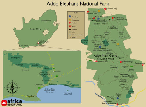 Addo Elephant National Park - Africa Geographic