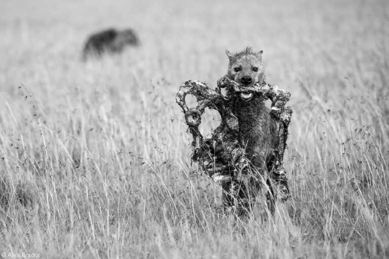 Photographer of the Year 2025 Weekly Selection: Week 3 - Africa Geographic