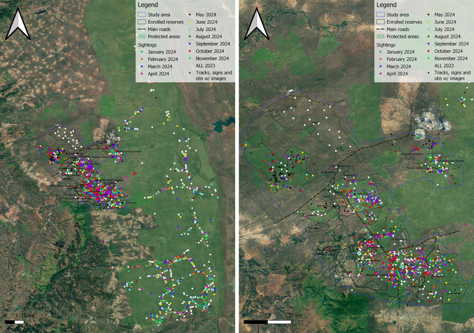 Saving Hoedspruit's leopards - Africa Geographic