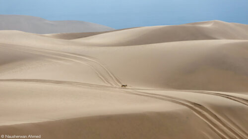 Photographer of the Year 2025 Weekly Selection: Week 5 - Africa Geographic