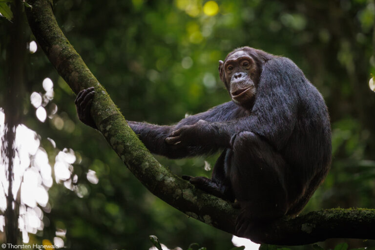 Photographer of the Year 2025 Weekly Selection: Week 3 - Africa Geographic