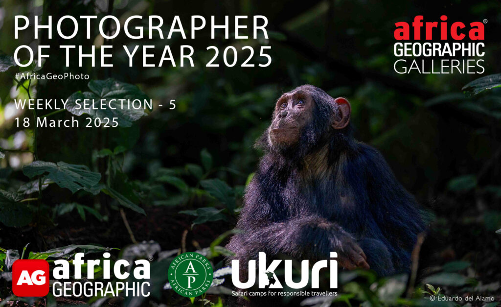 Photographer of the Year 2025 Weekly Selection: Week 5 - Africa Geographic