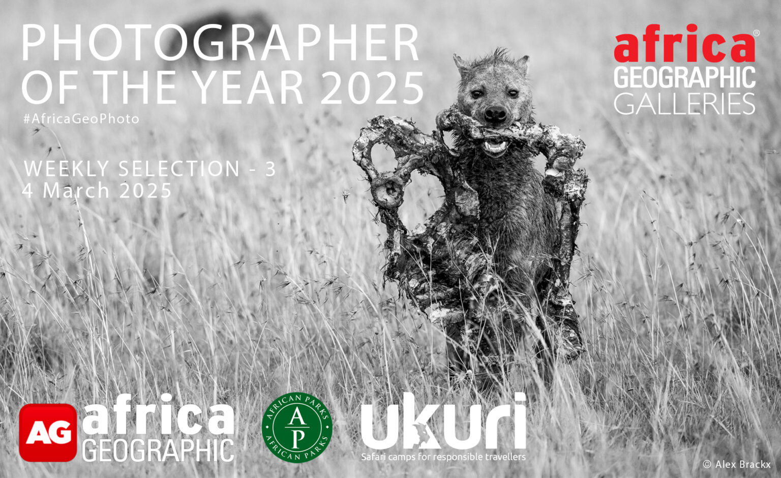 Photographer of the Year 2025 Weekly Selection: Week 3 - Africa Geographic