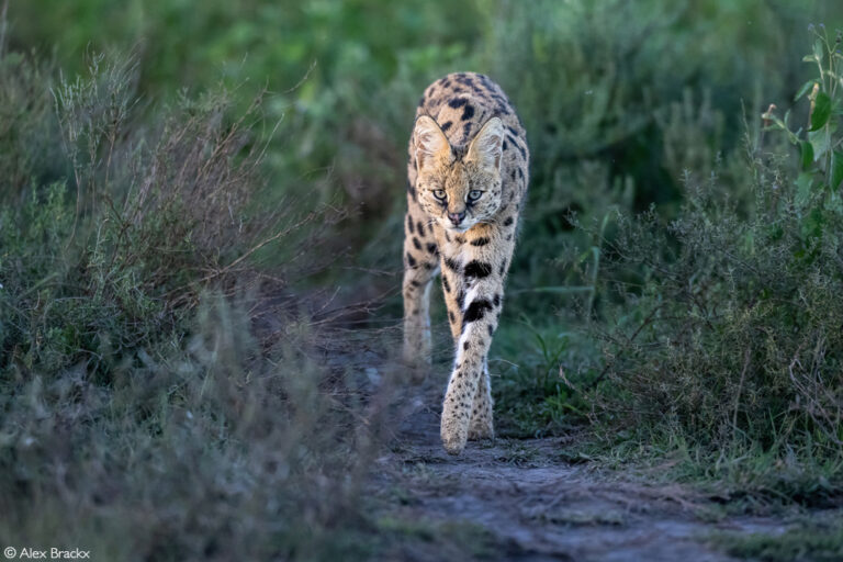 Photographer of the Year 2025 Weekly Selection: Week 10 - Gallery 2 ...