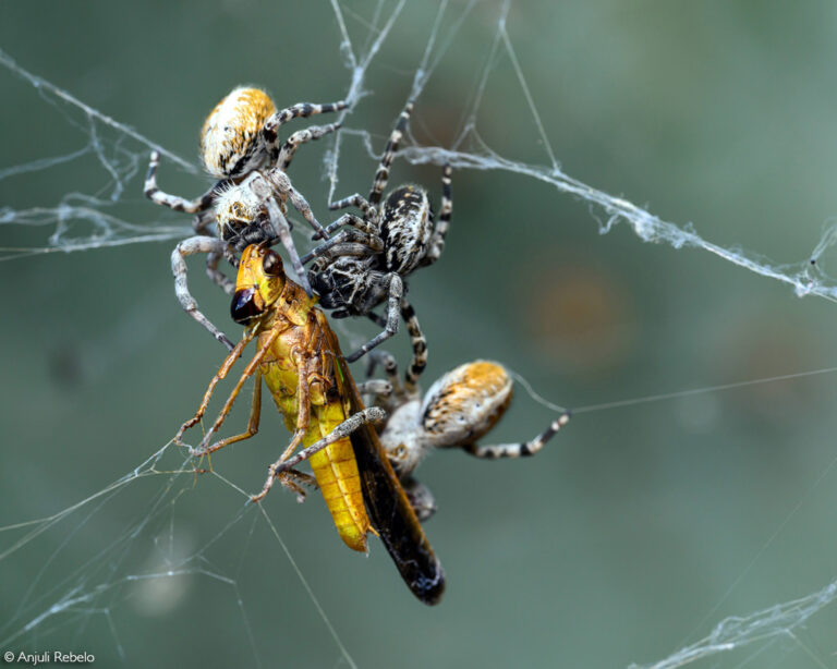 Photographer of the Year 2025 Weekly Selection: Week 9 - Gallery 1 ...