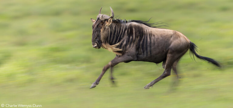 Photographer of the Year 2025 Weekly Selection: Week 10 - Gallery 1 ...