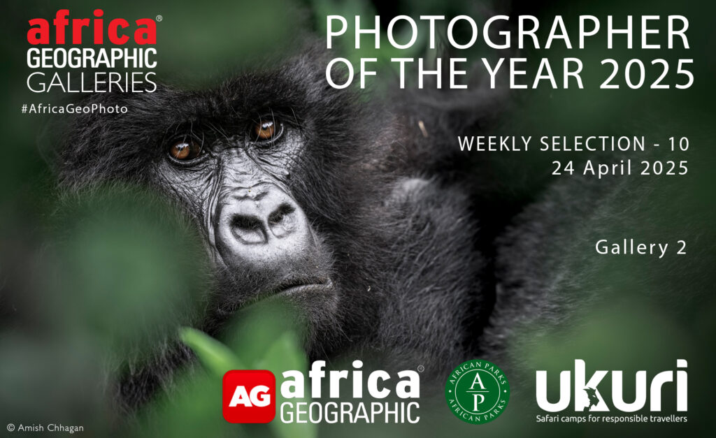 Photographer of the Year 2025 Weekly Selection: Week 10 - Gallery 2 ...